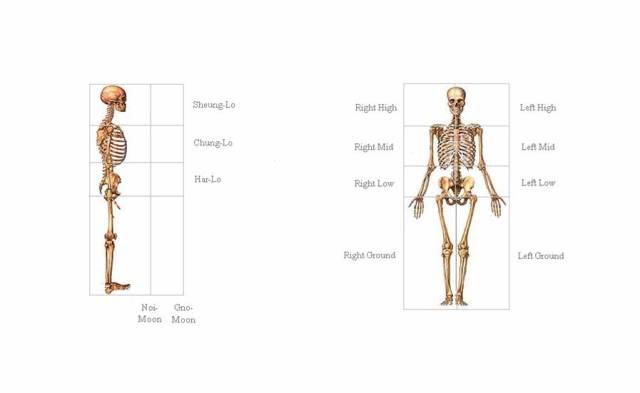 Understanding Structure – Wing Chun Gates – Wing Chun Journey