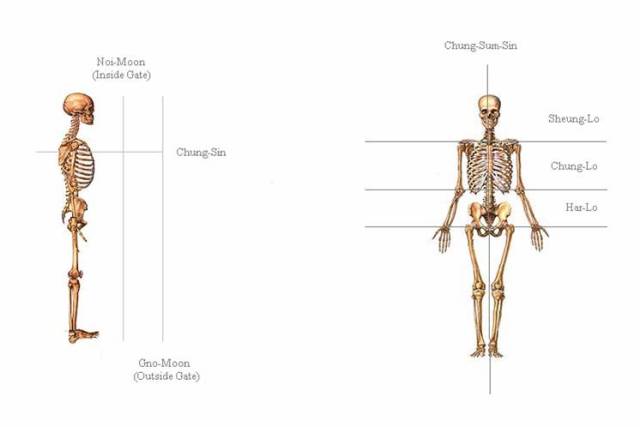 Understanding Structure – Wing Chun Gates – Wing Chun Journey