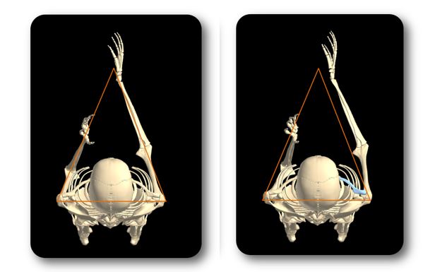 Relaxation versus Structure Dilemma – Article 2 – Wing Chun Journey