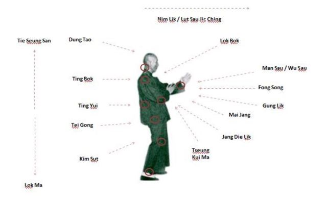 The Wing Chun Homunculus (Part 2) – Wing Chun Journey